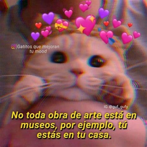 5 Memes Graciosos De Gatitos Para Ligar Por Whatsapp Petlife