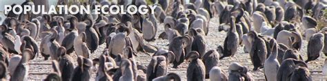 Population Ecology Basic Biology