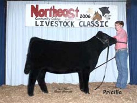 Tc Grid Topper 355 Cattle Visions Premier Multi Breed Online Semen