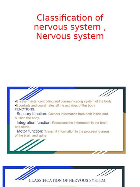Classification Of Nervous System Pdf