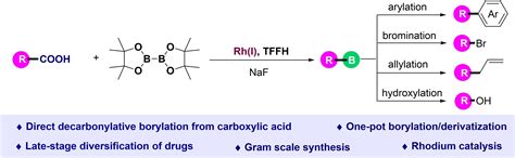 Rh‐catalyzed Direct Decarbonylative Borylation Of Carboxylic Acids Yin 2023 Chemistry A