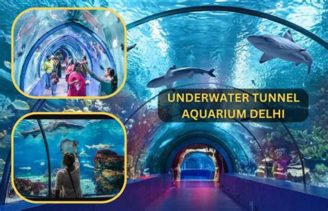 Dwarka Utsav Mela 2024 Underwater Tunnel Aquarium Delhi