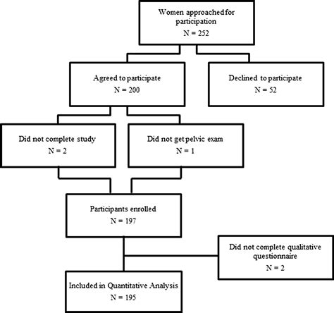 The Role Of Physical Examination In Diagnosing Common Causes Of Vaginitis A Prospective Study