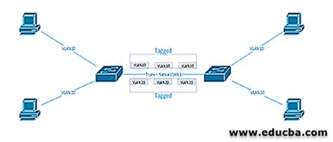 What Is A Trunk Port Comprehensive Guide To Trunk Port