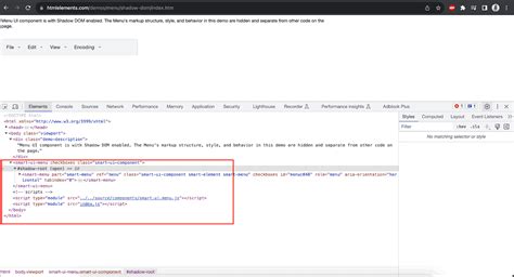 How To Handle Shadow Root In Selenium Java