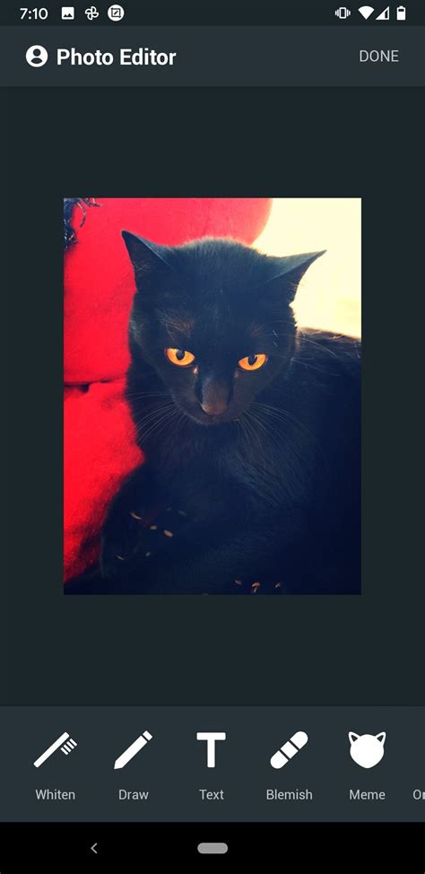 Descargar Polish Photo Editor Pro 1 662 Apk Gratis Para Android