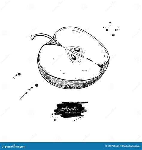 Apple With Apple Slice Illustration Hand Drawn Apple Fruit Sketch CartoonDealer Com 56003079