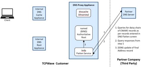 Figure DNS Proxy Flatten Process