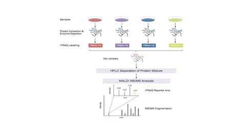 Itraq Proteomics Ppt