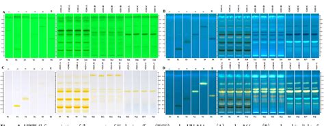 Figure 3 From Quantitative Determination And Characterization Of A