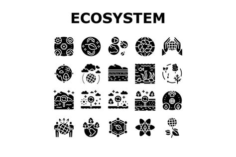 Ecosystem Environment Collection Icons Set Vector 1257249