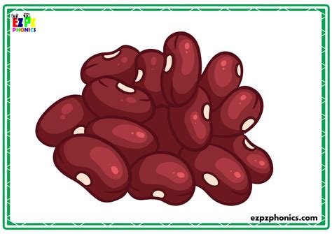 Vegetables Vietnamese And English Language Flashcards Flashcard Rau Củ