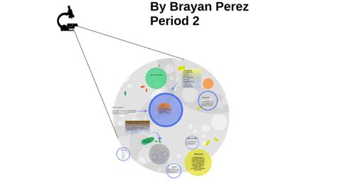Cell Mode By Brayan Perez On Prezi