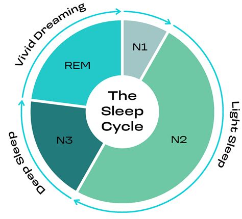 Understanding Sleep Cycles How They Impact Your Sleep And Why Night