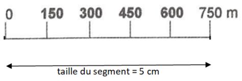 Les échelles Flashcards Quizlet