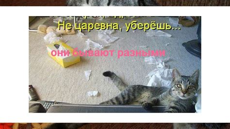 Спасём их 2 Youtube
