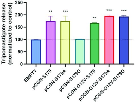 Pka Dependent Phosphorylation Effect On Parasite Release Transfected