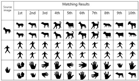Good Shape Matching Results For The Brown Dataset On Three Source