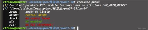 Ctfshow Pwn 栈溢出（pwn37 Pwn38）ctfshow Pwn38 Csdn博客