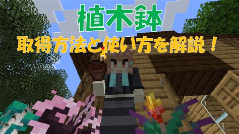 【マイクラ】「植木鉢」の取得方法と使い方！花を飾ろう ビビアンのマイクラ攻略ブログ