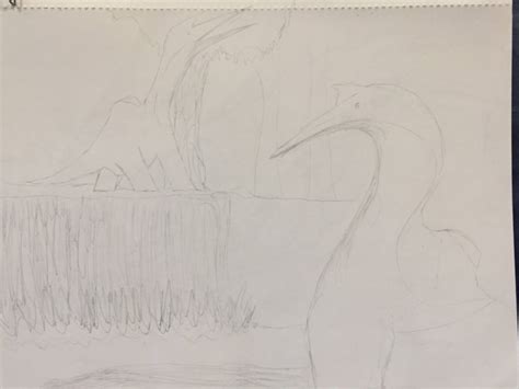 Pteropods By Shleeevee On Deviantart