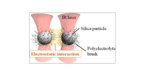Measurement Of The Electrostatic Interaction Between Polyelectrolyte