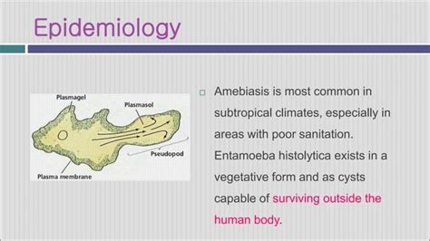 【中医药】hepatic Abscessppt