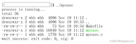 Linux初阶进程程序替换 初识原理函数应用 makefile工具的多文件编译 阿里云开发者社区