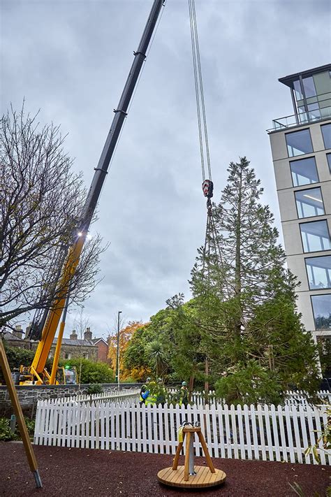 Lansdowne Place Sap Landscapes