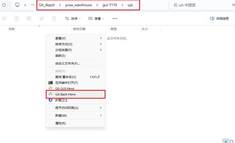 【git】gui图形化管理、ssh协议私库集成idea使用 idea git ssh csdn博客