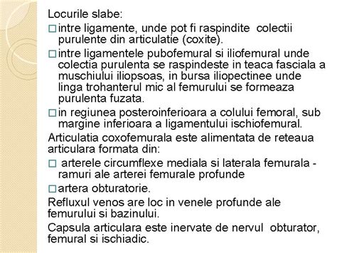 Anatomia Topografica A Membrului Inferior Regiunea Fesiera Regiunea