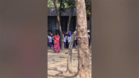 কনফিডেন্স চাইল্ড কেয়ার একাডেমি স্কুল লাউড়েরগড় তাহিরপুর সুনামগঞ্জ। Shortvideo Youtube