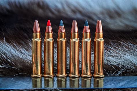 17 Hmr The Ultimate Rimfire Cartridge