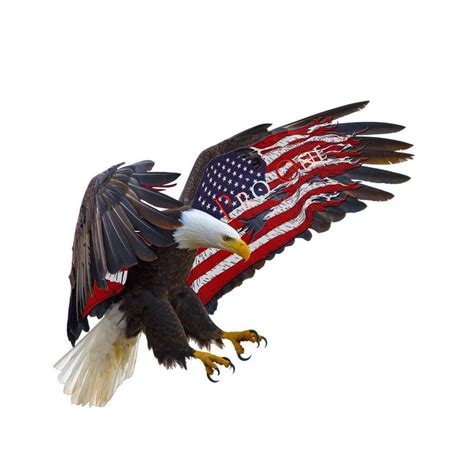 𝙿𝚛𝚘 𝙾𝚗𝚎 🚩 Grade 6 ဆဌမတန်း ဘာသာရပ်အလိုက် သင်ခန်းစာ Facebook