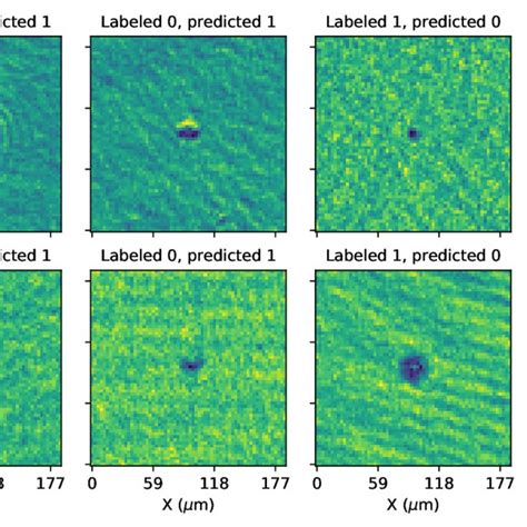 Examples Of Incorrect False Positive Or Missed Predictions False Download Scientific Diagram