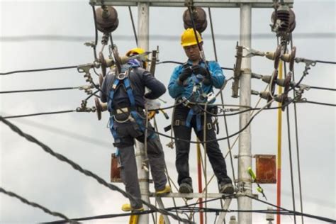 Setoran Dividen Dan Pajak PLN Rp 37 5 Triliun