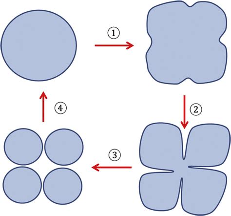 Schematic Diagram Illustrating The How The Microstructure Of The