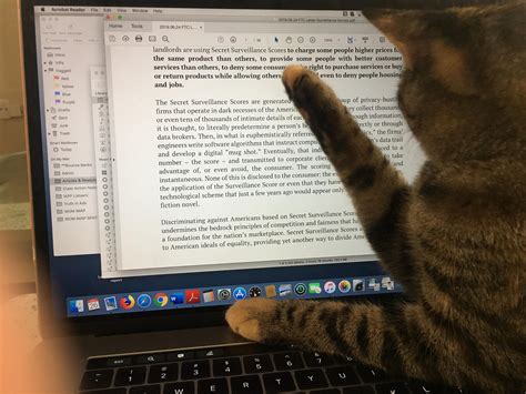My Editor You Need To Restructure This Sentence R Catswithjobs