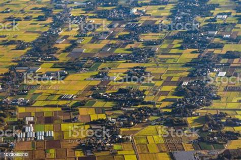 봄 시즌에 일본의 시골에서 농업 분야의 공중 보기 농촌 지역입니다 쌀 농장 패턴 자연 질감 배경입니다 무인 항공기에 대한 스톡 사진 및 기타 이미지 Istock