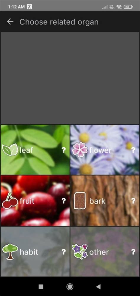 Best Object Identifier Apps For Android And IOS Guiding Tech