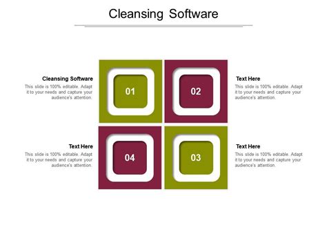 Cleansing Software Ppt Powerpoint Presentation Model Gridlines Cpb Presentation Graphics