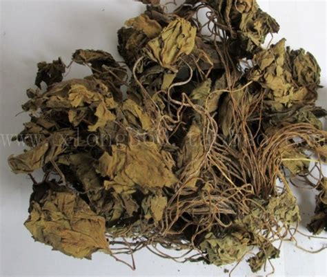 麻黄附子细辛汤图册 360百科
