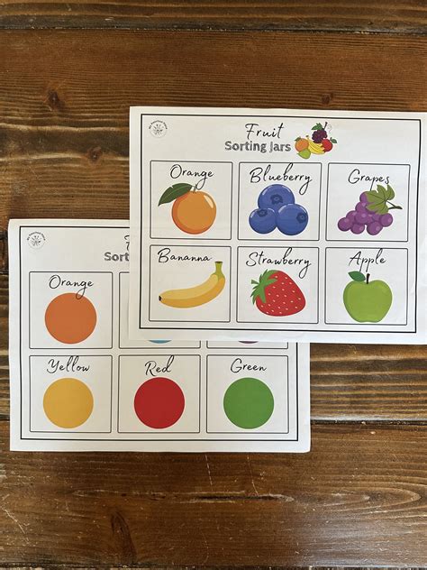 Fruit Sorting Activity [free Download] — My Preschool Place