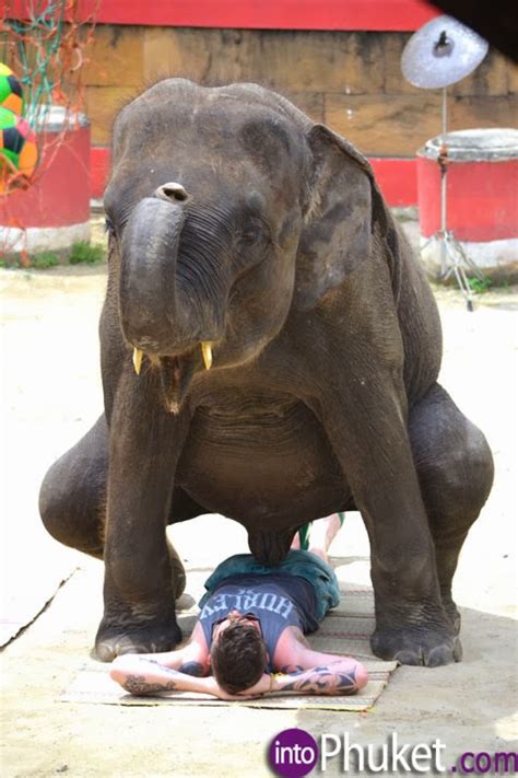 Welcome To Newjwels Blog Sharing My Experience As An African