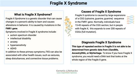 Fragile X Syndrome
