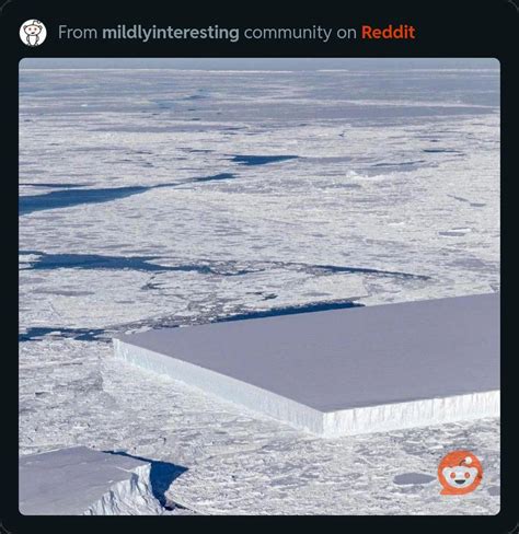 Right Angles In Nature Right Angles Are Everywhere Why By Fletcher