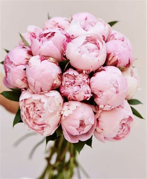 15 Of The Prettiest Peony Bouquet Ideas Artofit