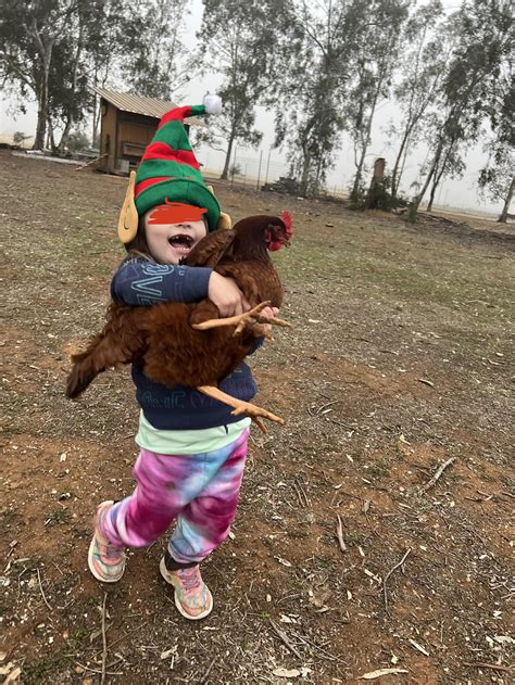 My Girl Loves Her Chickens R Backyardchickens