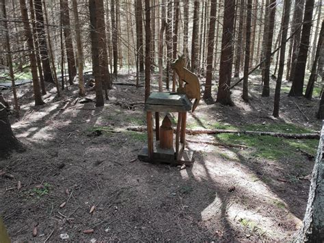 Minhauzena Meža Taka Idejas Brīvdienām