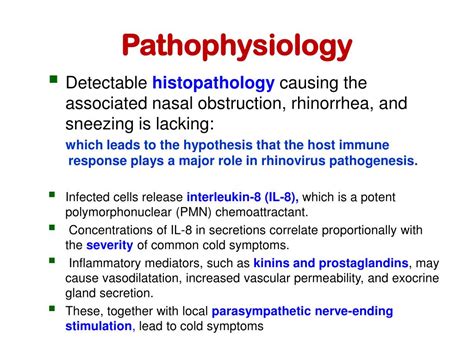 Ppt Common Cold Powerpoint Presentation Free Download Id 5590499